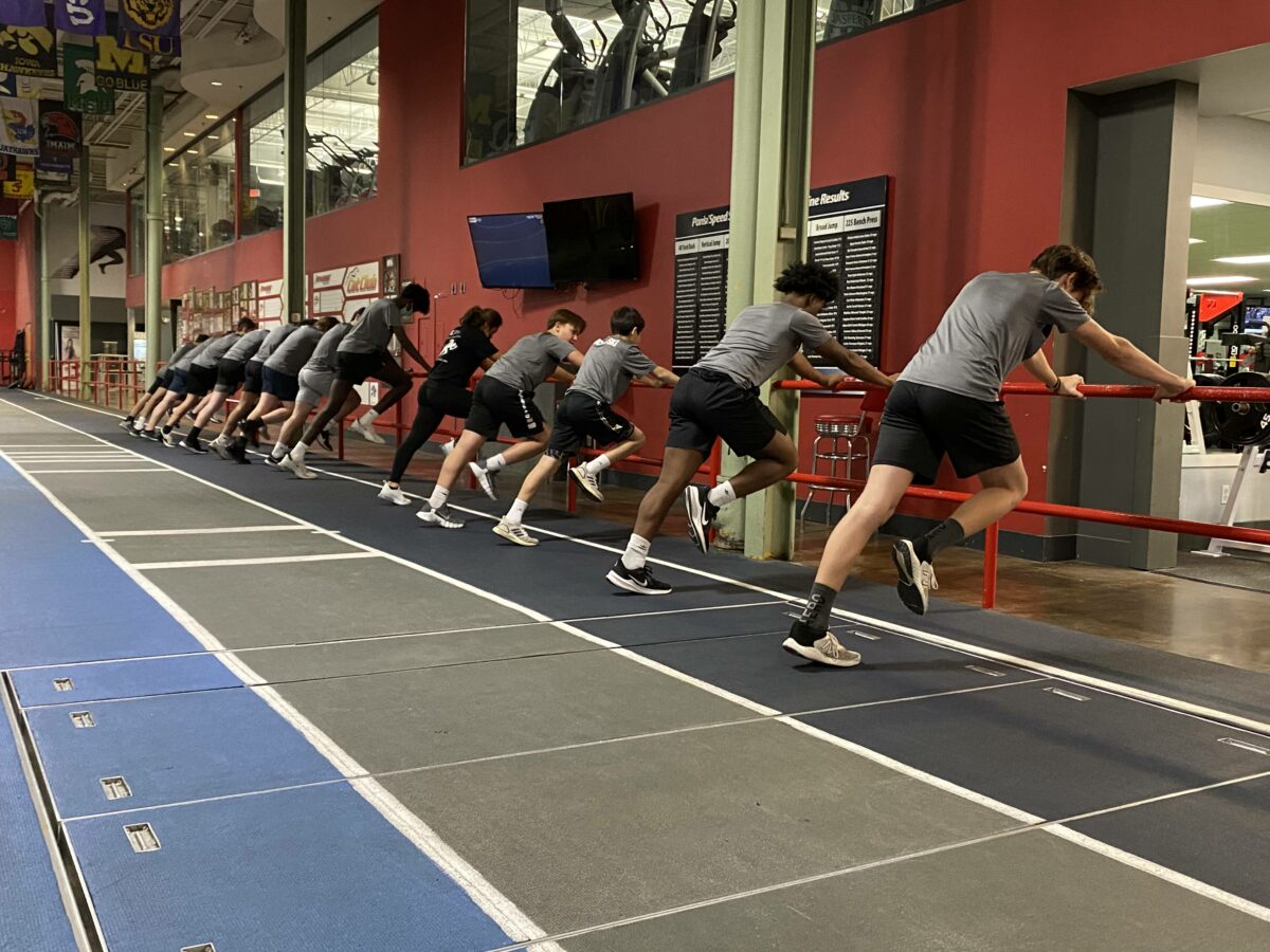 Training - Parisi Academy